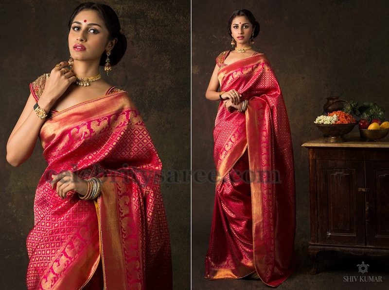 Meena Work Silk Saree - Saree Blouse Patterns