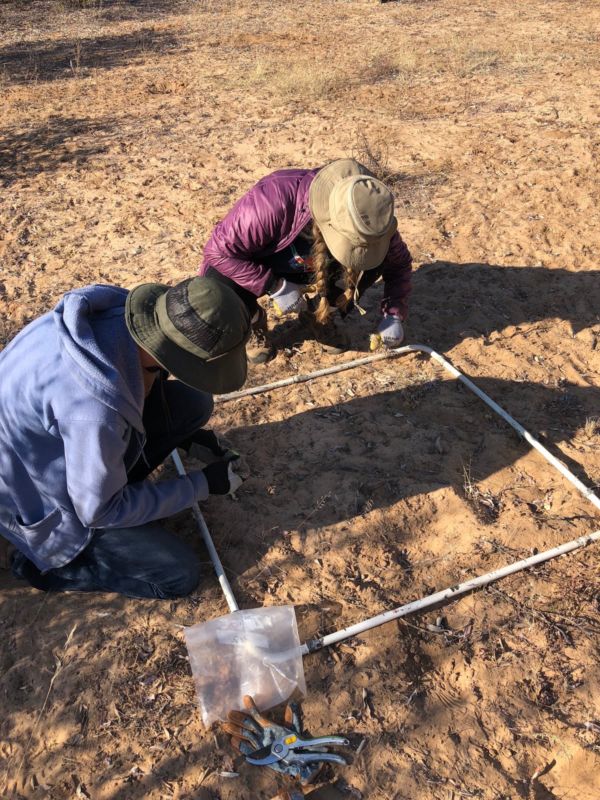 Study Abroad, Botswana: 2018