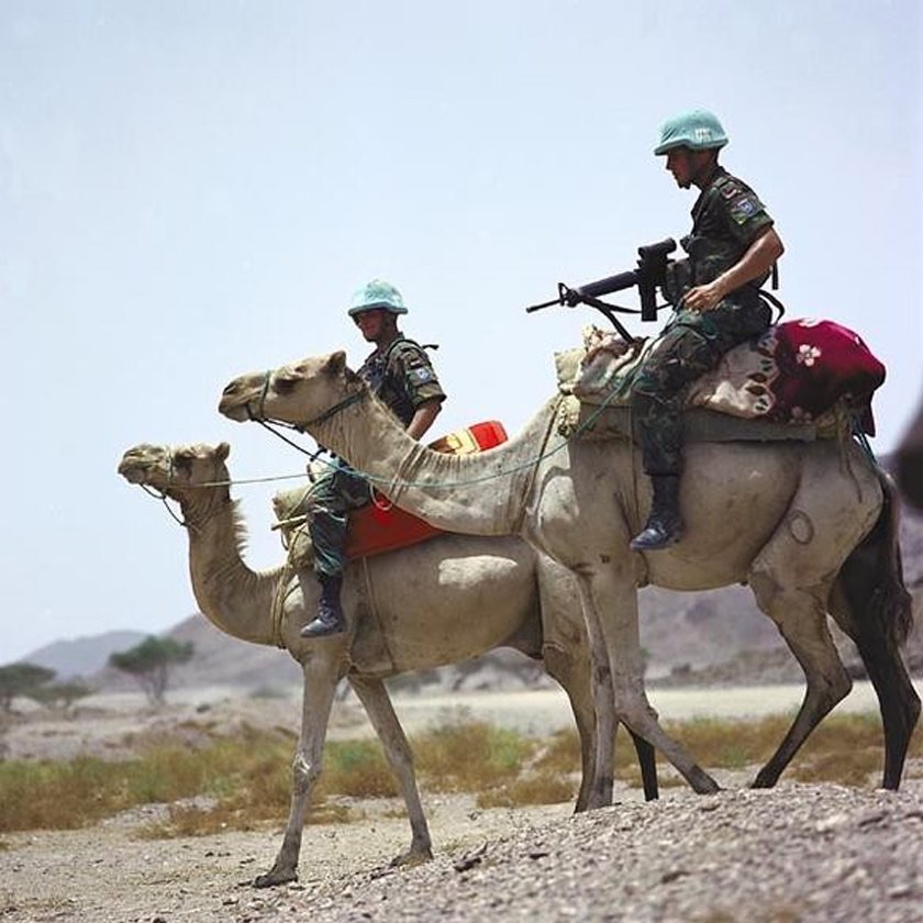 CamelDabble TravelBabble: Military and Police Camels