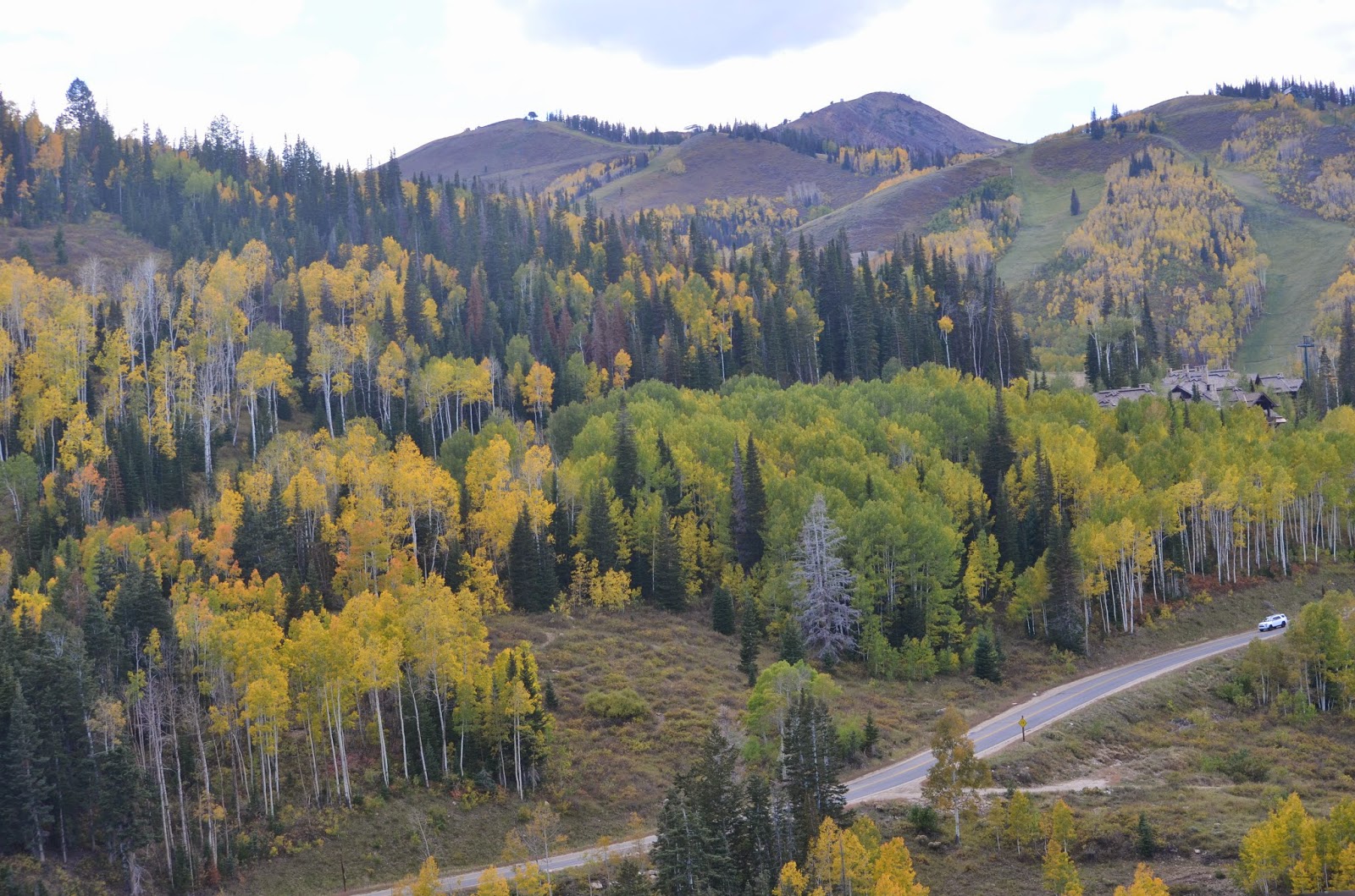 Home on the Range: FALL FOLIAGE..........GUARDSMAN PASS ...