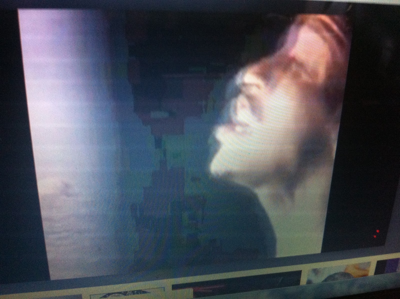 THE BLACK SOCIAL HISTORY:: BLACK SOCIAL HISTORY : AREICAN AMERICAN ...