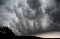 Flower Hill Farm: Remembering Olden Skies on Skywatch Friday