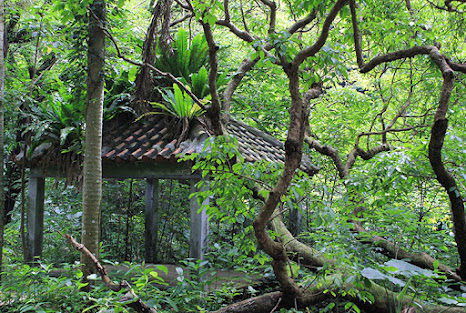 Isshin - Concentration the Art: Okinawa as I would like to experience it