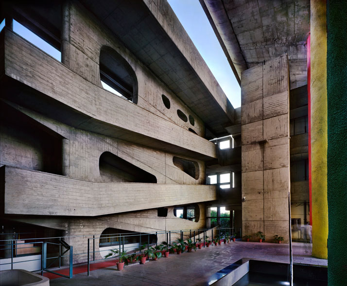 Lyssa humana: Photographer: Richard Pare