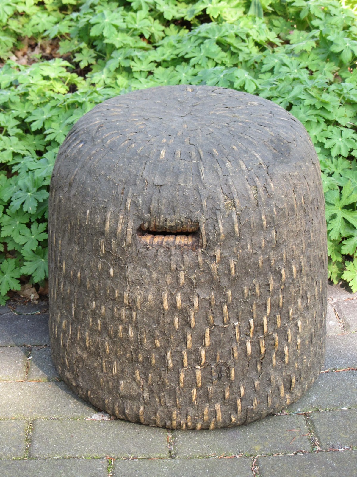 De Veenhoeve: KORVEN