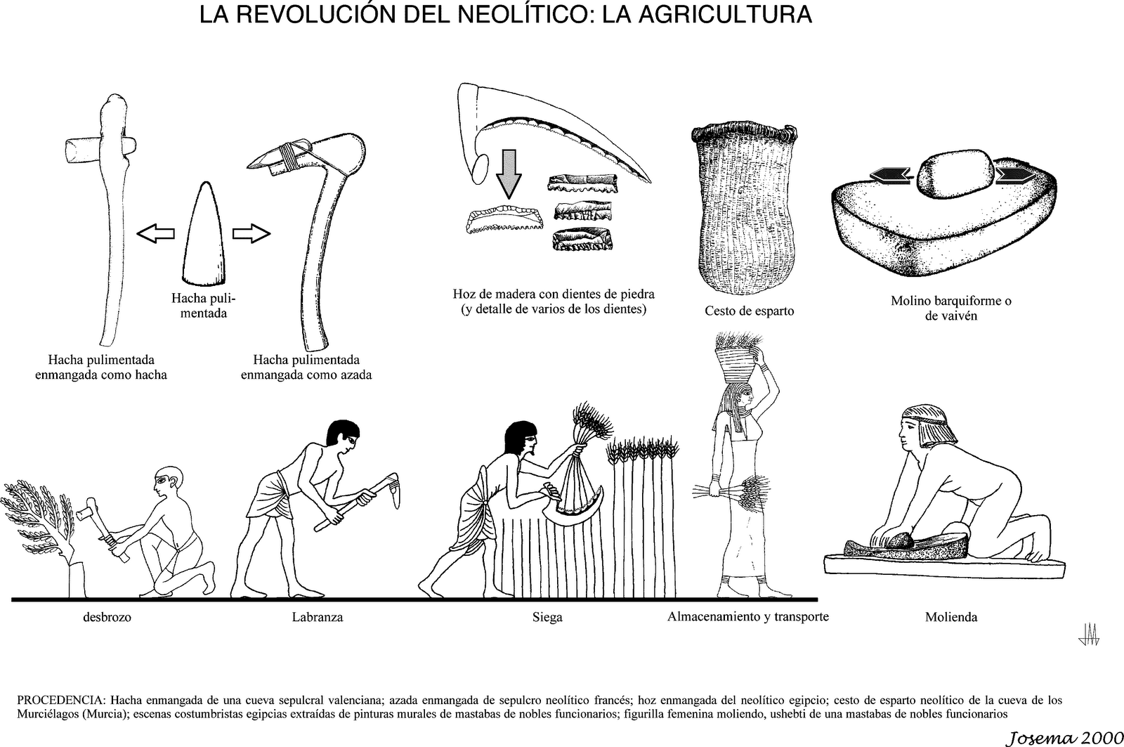 Historia Universal: PREHISTORIA