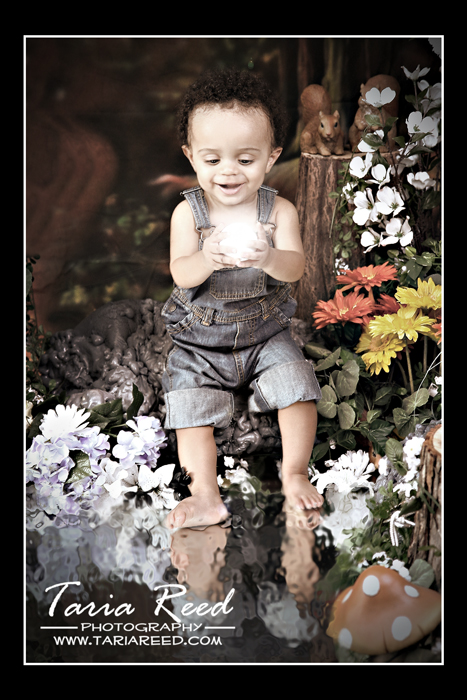 Taria Reed Photography: Fairy Day 2012
