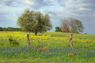 El Salvador: Un día de primavera - Salvadoreños en el Mundo