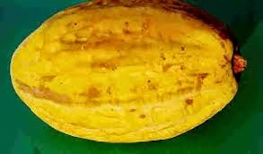 Gastronomia Peruana: FRUTOS DE LA SELVA