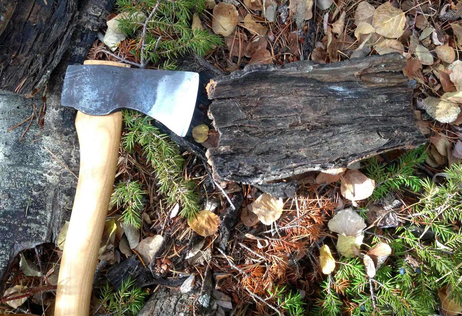 Rocky Mountain Bushcraft: Mountain Bushcrafting: Dead Aspen bark- A ...