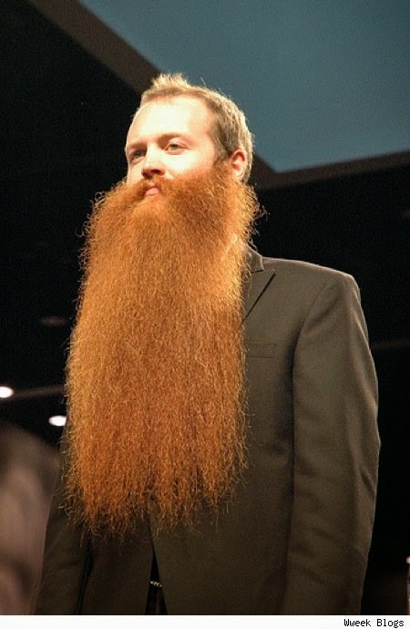 dGeneralist: Silent Wednesday 18 - The Most Majestic Beards in The Universe