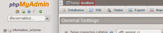 DevelopingSites: How to Find the Hostname of a Database Server?