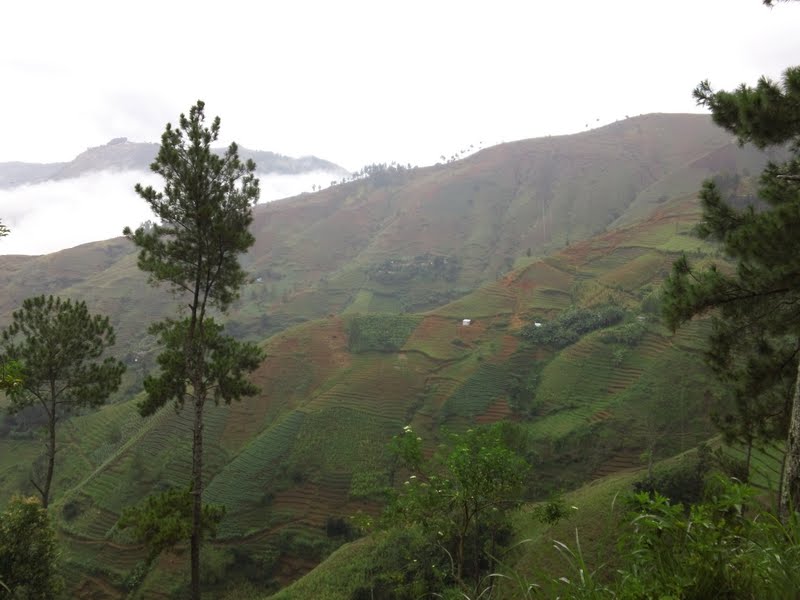 Lafrance en Haiti: Un petit tour à Furcy