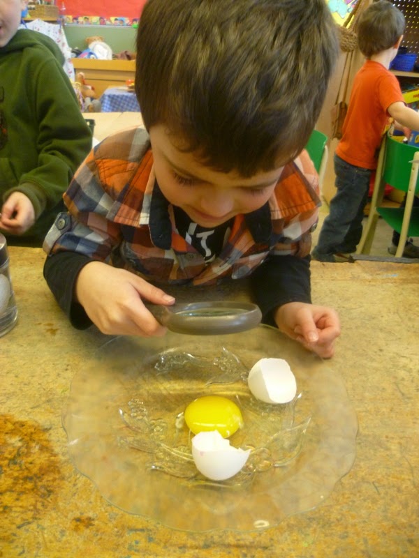 À la maternelle de Chantal: Les oeufs, poule, poussin.
