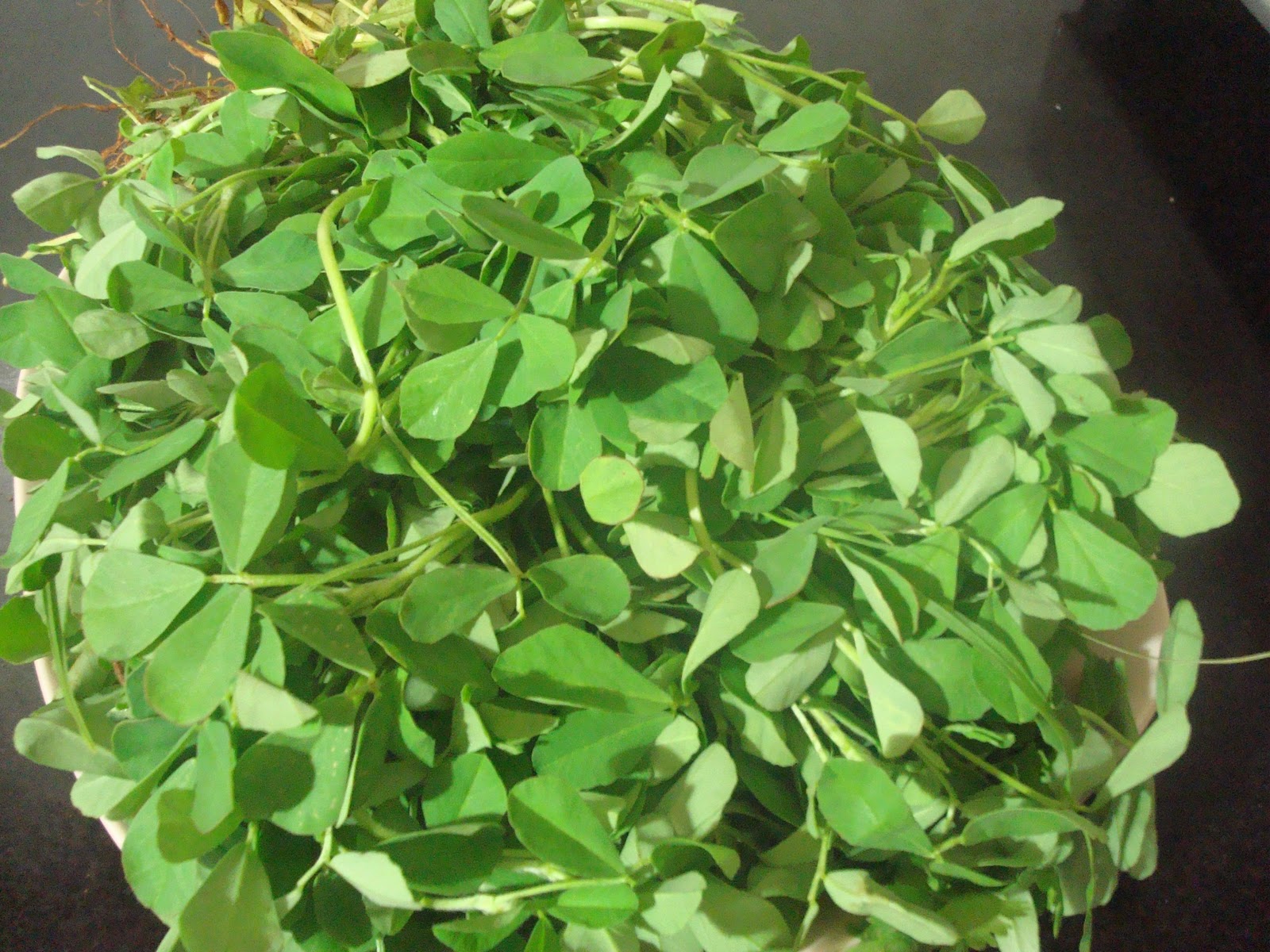 JustBlogging.: FENUGREEK LEAVES PALAV