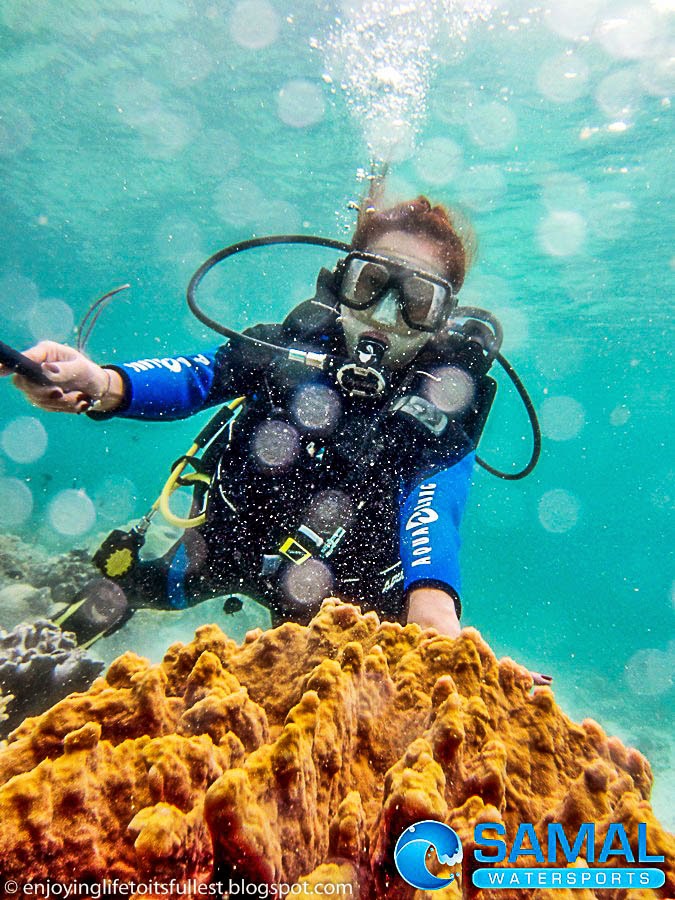 ALventureBlogs: Samal Island Adventure: Intro-Scuba Dive