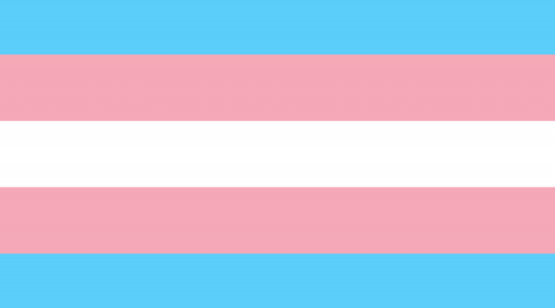 Día de la Bandera Transgénero - 19 de Agosto ~ OrgulloLGBT.co