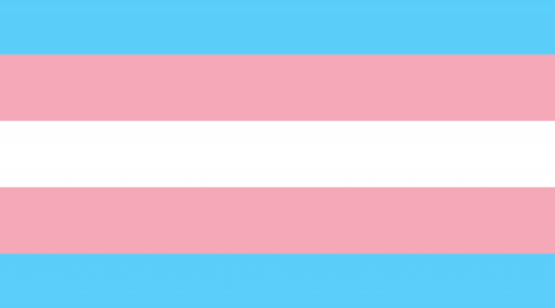 Día de la Bandera Transgénero - 19 de Agosto ~ OrgulloLGBT.co