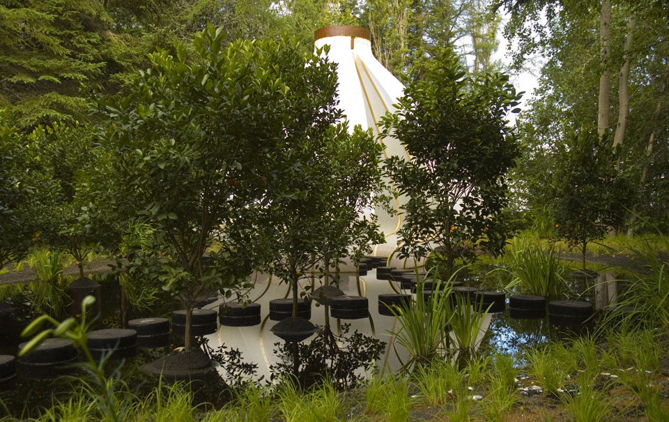 2o2 studio: ANDY CAO - artysta niesamowity