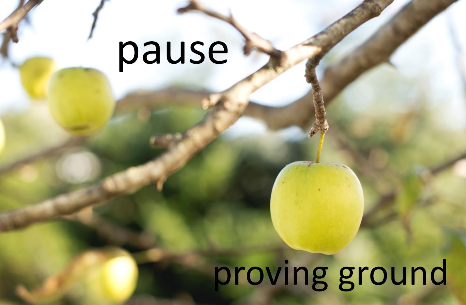 andy at faith: Pause ~ Proving Ground