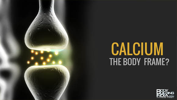 star of bodybuilding: CALCIUM THE BODY FRAME?