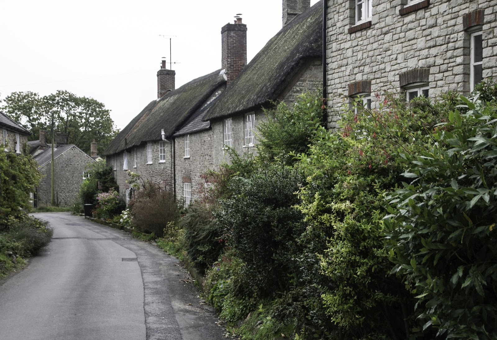 Walking Dorset's gridsquares: Litton Cheney to Askerswell - 17th August ...