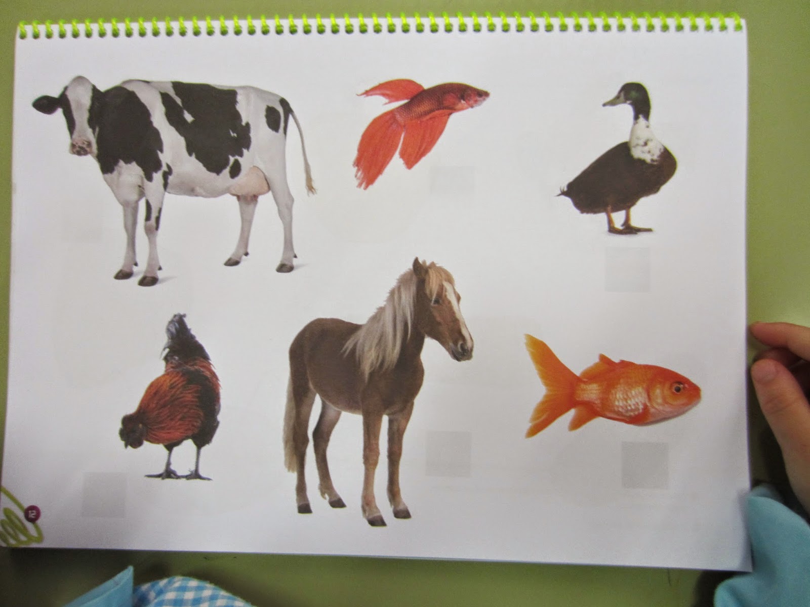 imagenes de animales con escamas