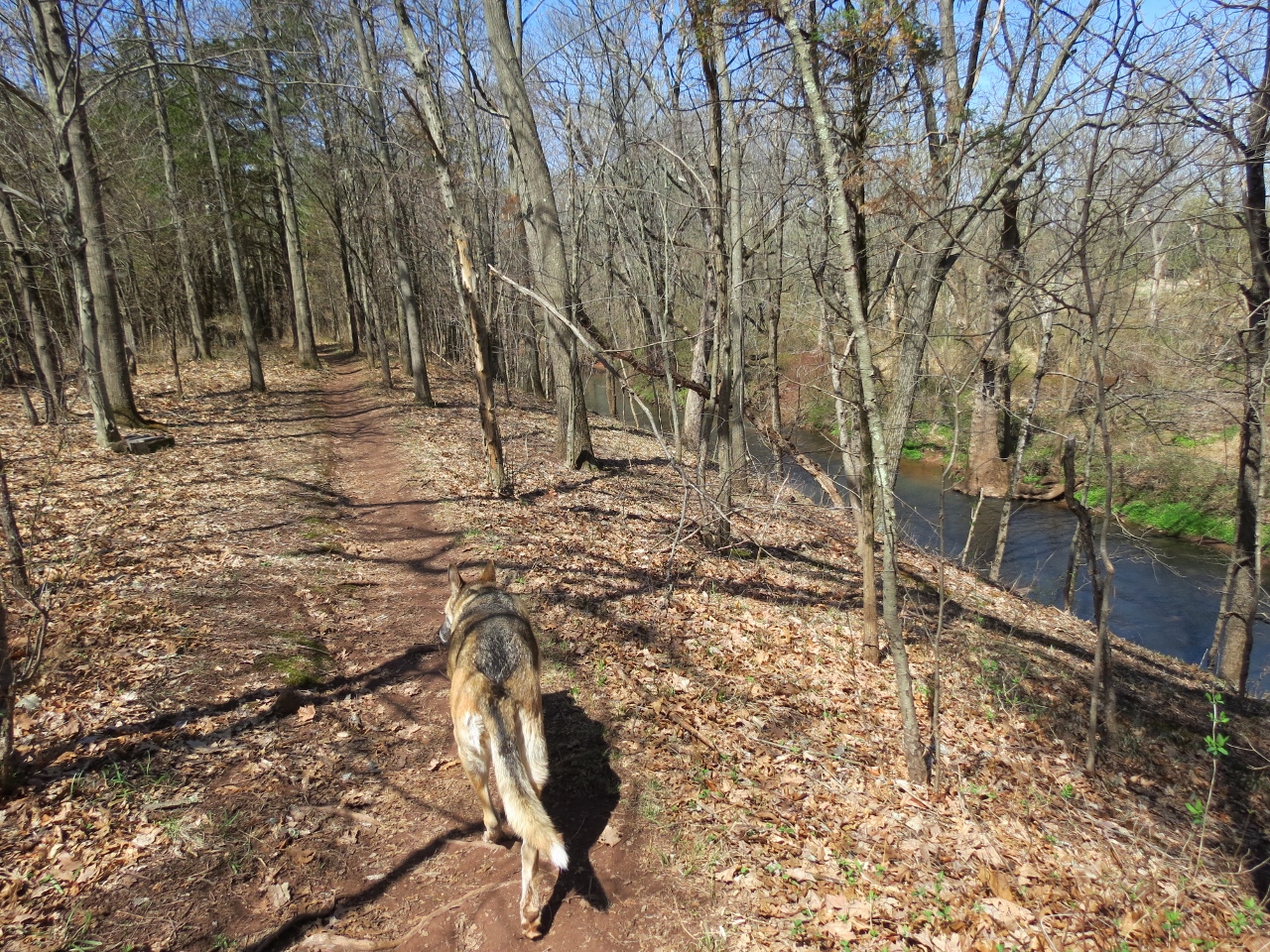Gone Hikin': Six Mile Run Reservoir, NJ - Western Section