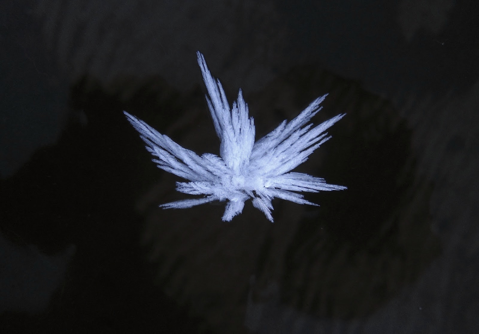 Saratoga woods and waterways: A Solstice Meditation (Redux)