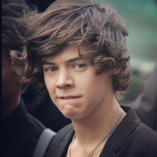 Welcome to Potato World . . : Harry Styles Profile