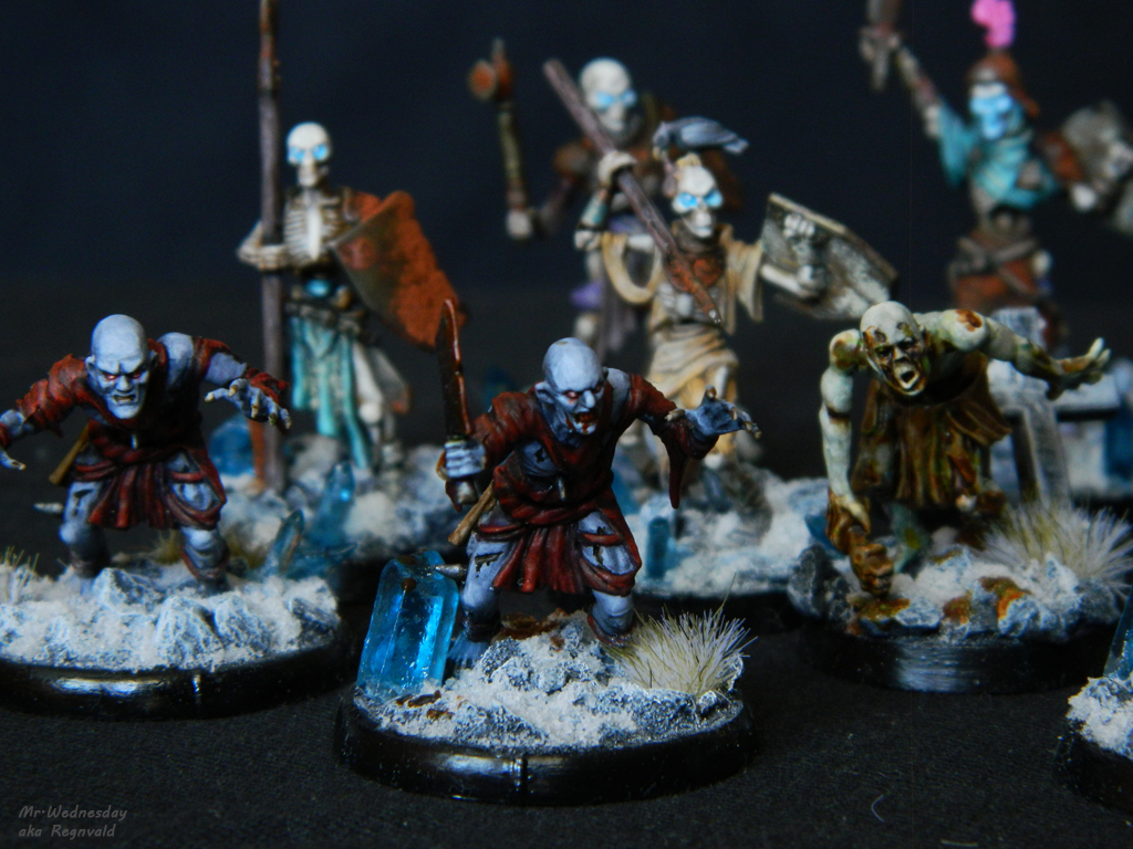 Ancient Plot: Frostgrave Warband
