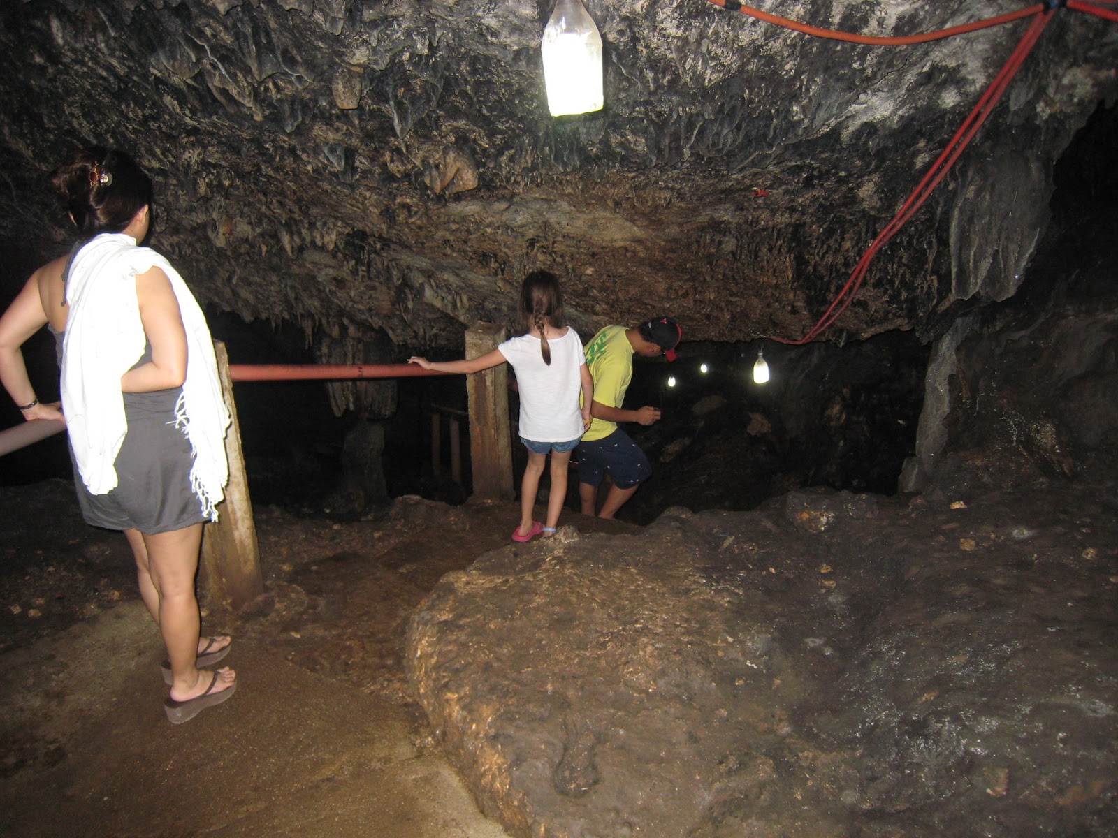 Black Swamp Cornucopia: Timubo Cave, Camotes Islands, the Philippines ...