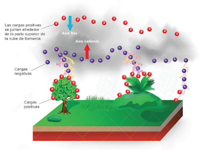 ¿Cómo se Forma un Rayo?