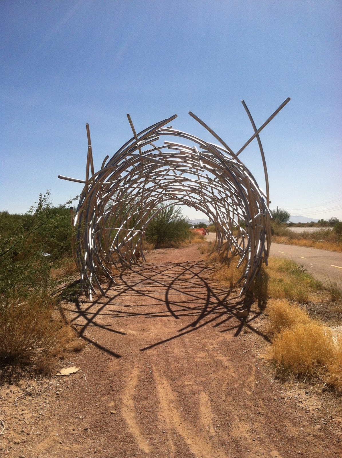 Tucson Daily Photo ~: Cool Cocoon
