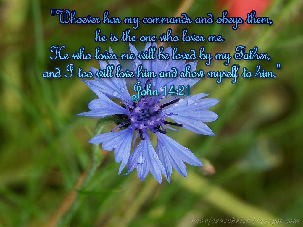 Christian Wallpapers Bible Verse Wallpaper John 14 21 Christian Wallpapers Bible Verse Wallpaper John 14 21