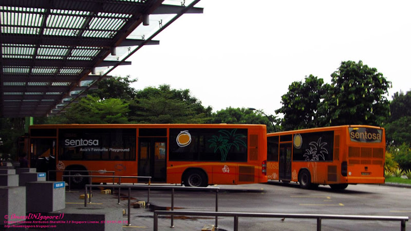 (buses[IN]gapore!): Sentosa buses' new livery!