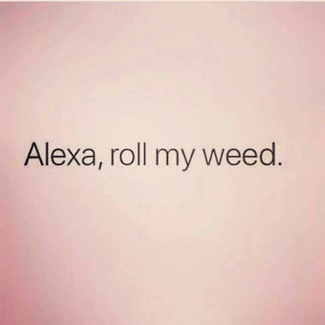 YELLOWDOG GRANNY: I'm still pooped from this weekend