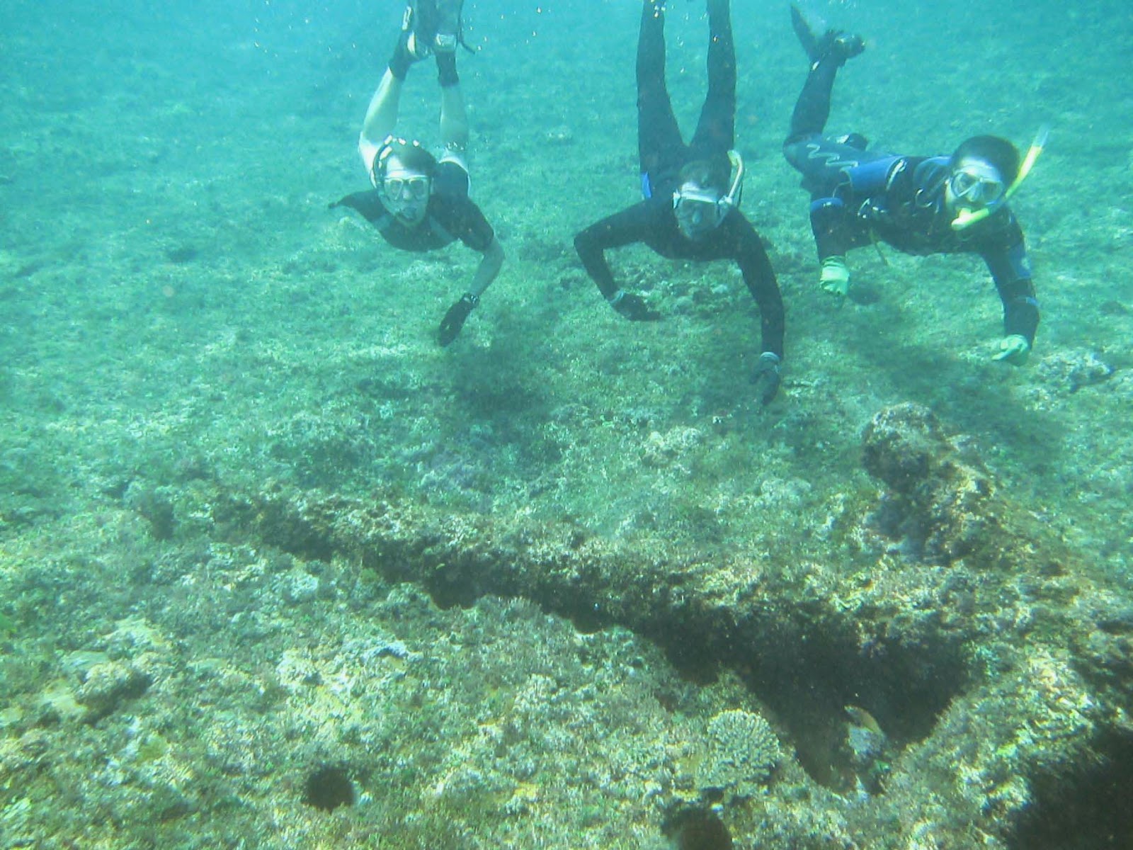 The World of Norfolk's MuseumThe World of Norfolk's Museum: Protecting ...