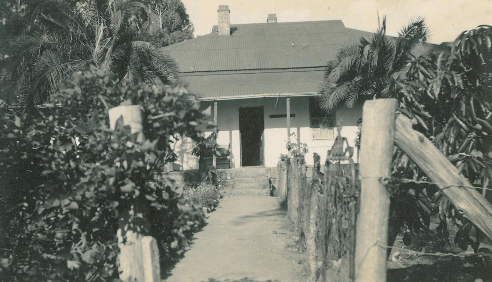 Jaarringe: In search of my great-grandfather