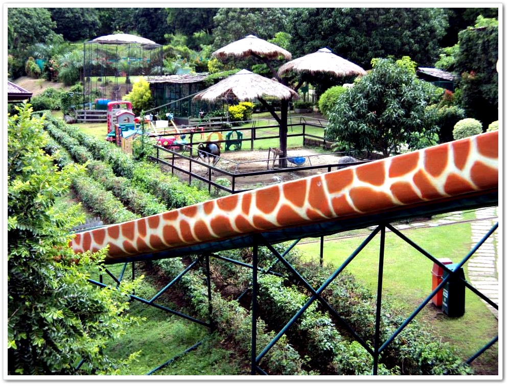 Zoocobia Fun Zoo: A Place for Everyone