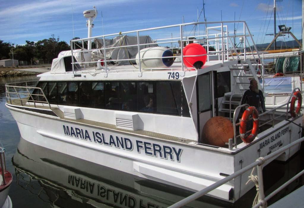 Robbiebago Adventures: Maria Island - is it Australia's best kept secret?