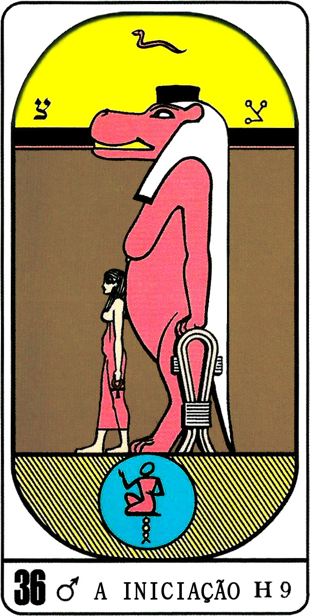 Gnosis Distrito Federal: TAROT: ARCANO 36 – A INICIAÇÃO