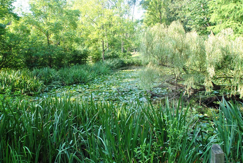 Southeastern PA Hiking: Horse-Shoe Trail - Great Valley Nature Center ...