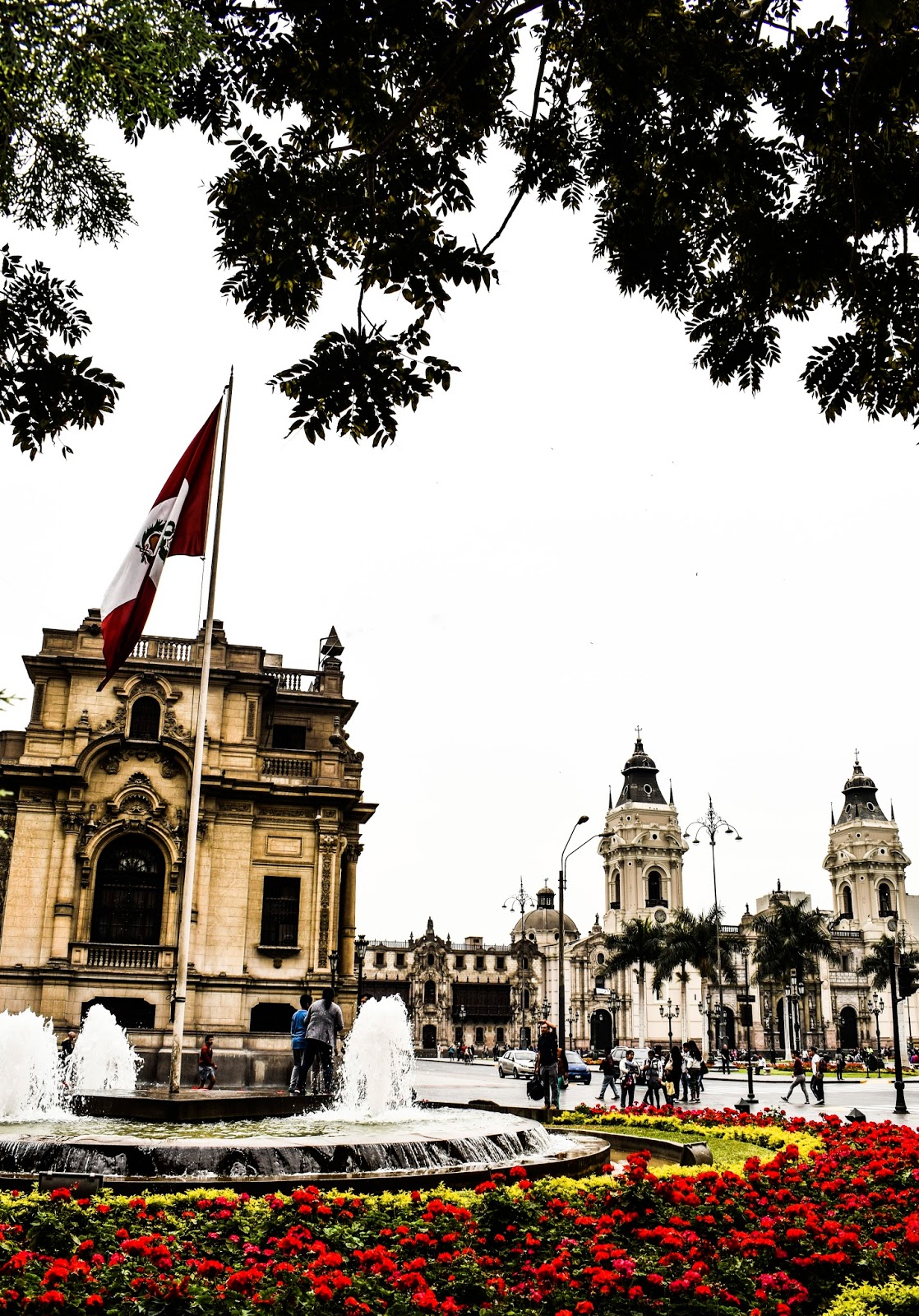 RENATO SOTO LEDESMA : Cercado de Lima - Lima - Lima - Perú