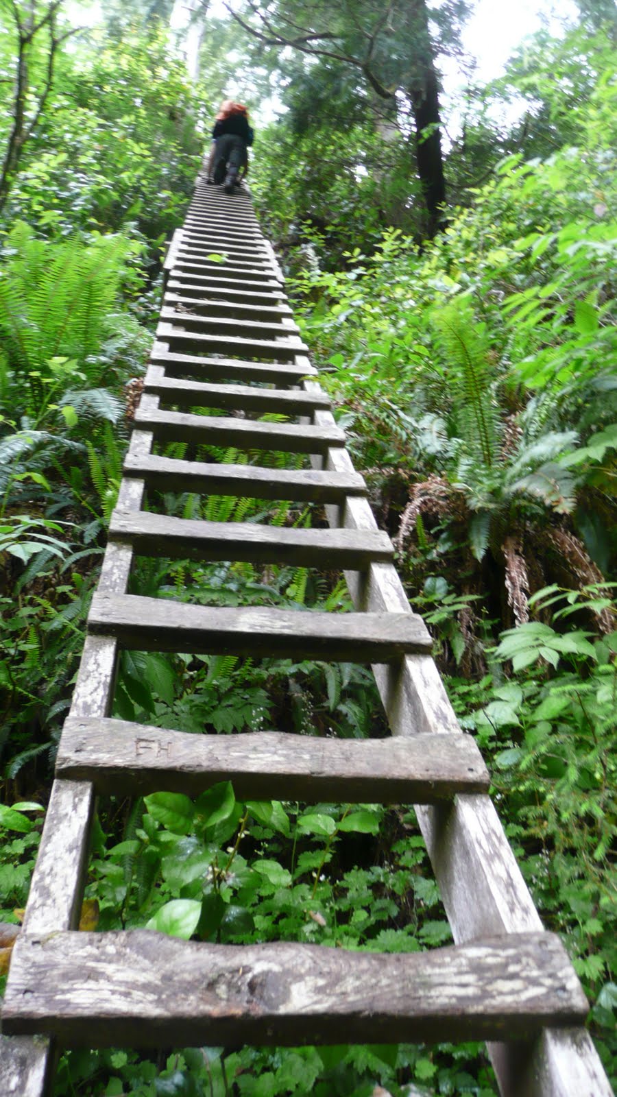 West Coast Trail 2011