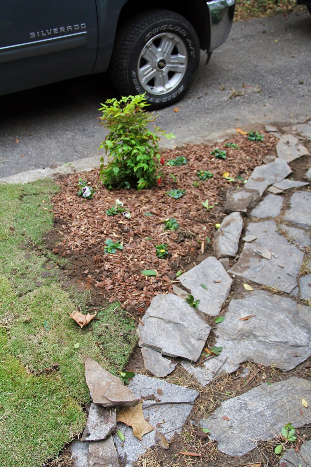 bumble & dola: yard of the month coming in 2015