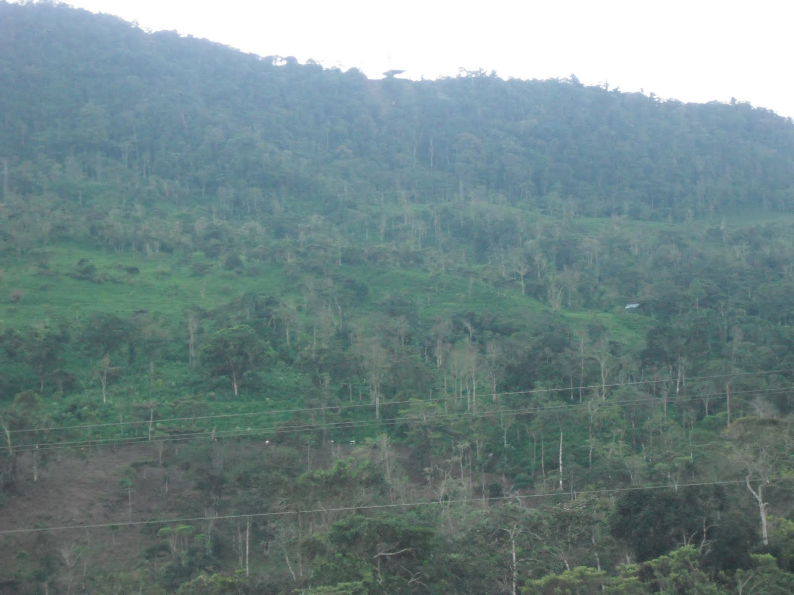 MACAS "CIUDAD JARDIN": TURISMO MACAS