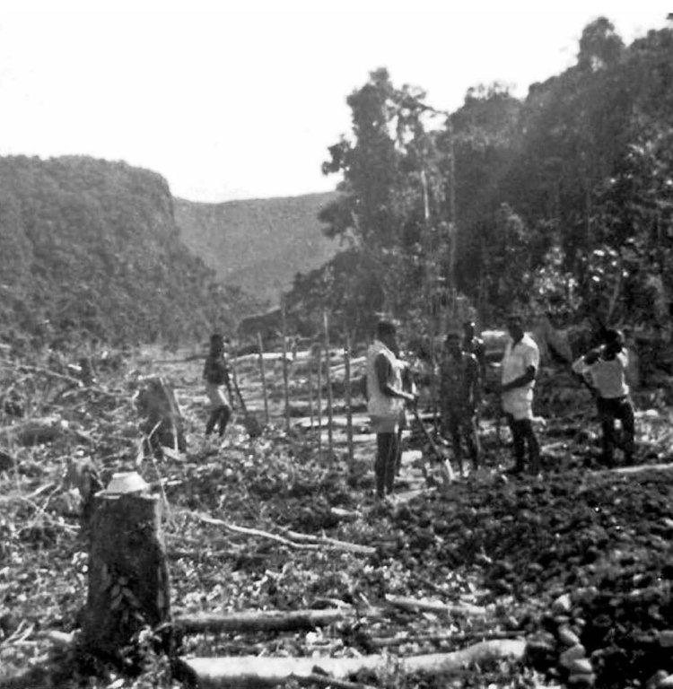 Malum Nalu: How Frieda River copper and gold was discovered