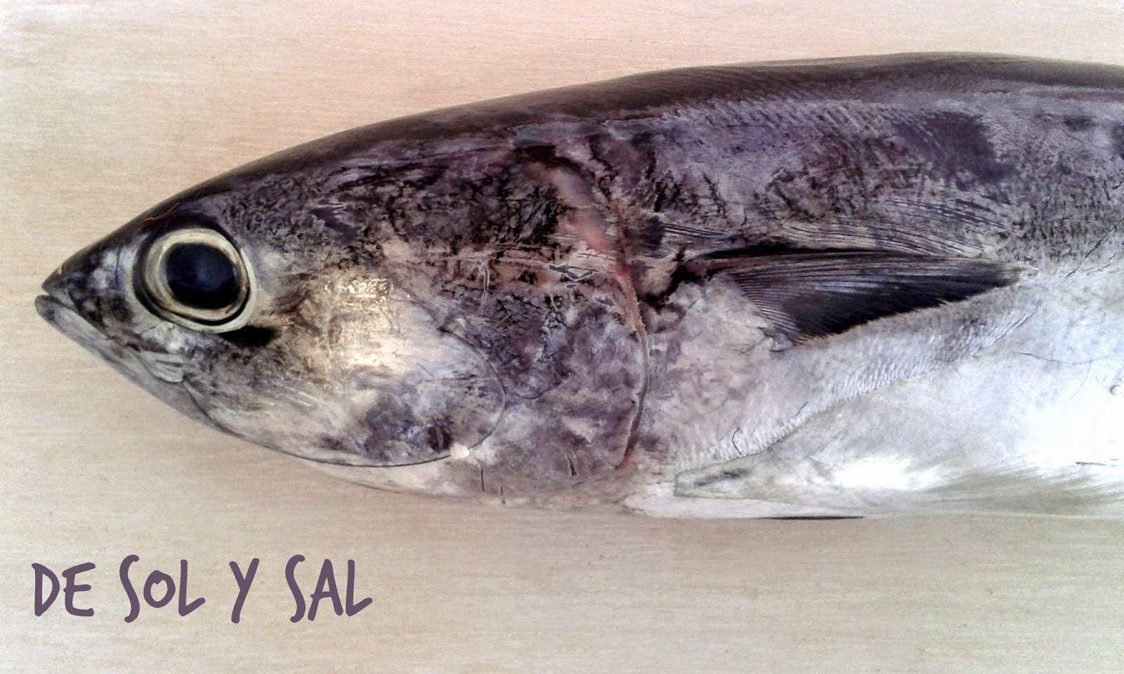 De sol y sal: Melva con fideos