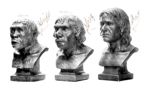 Africa: Rare Analyses and Knowledge-base: So What's the Deal with the ...